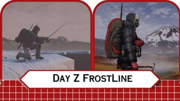 Day Z FrostLine Review (Steam)